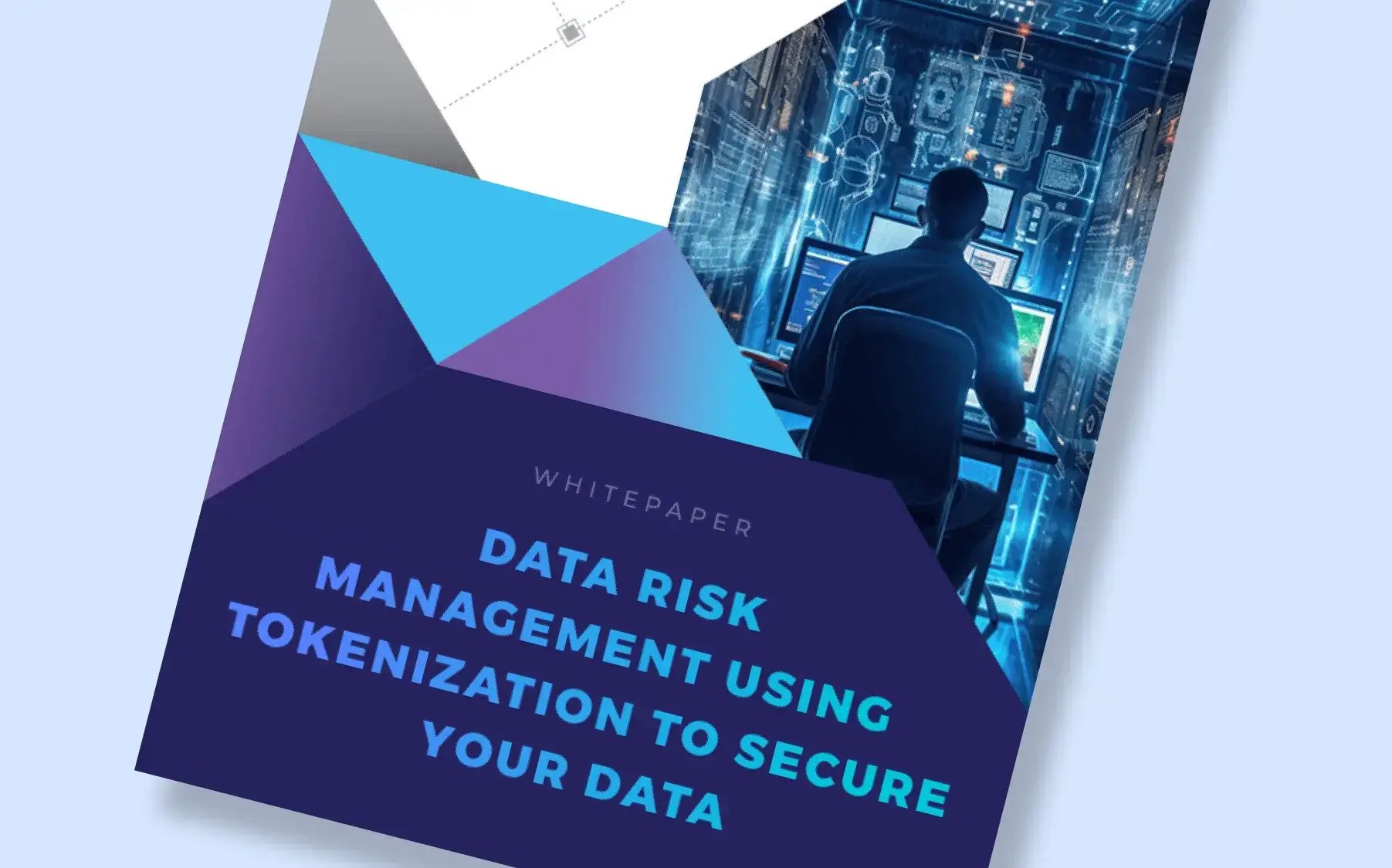 Data Risk Management Using Tokenization to Secure Data | Whitepaper